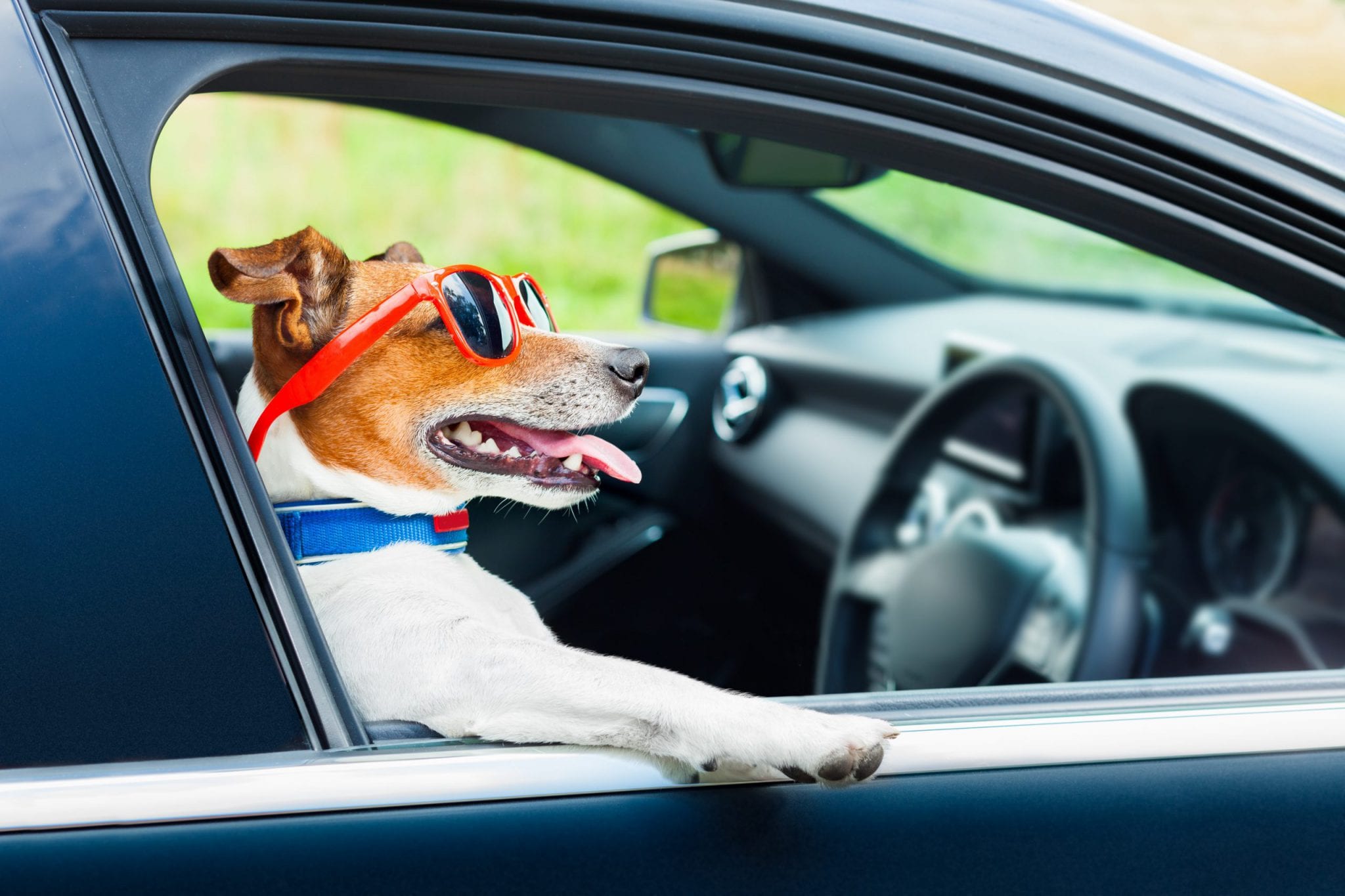9 Tips for Keeping Cool in the Car this Summer | Accelerate Auto Electrics