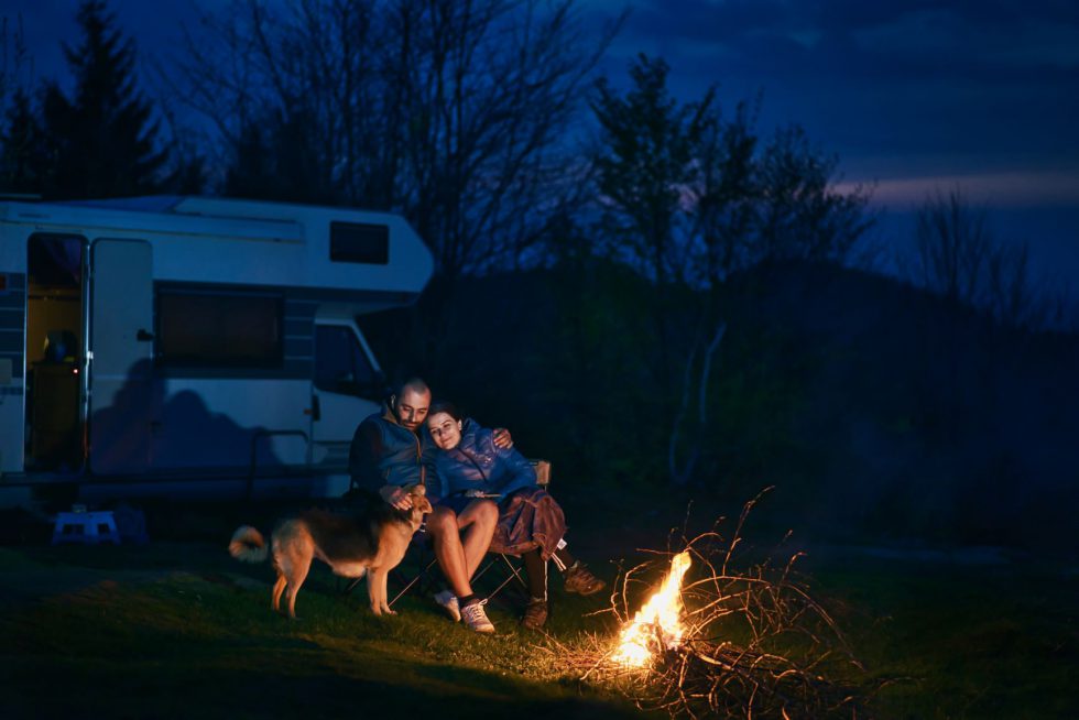 Tips for Caravanning with Dogs | Accelerate Auto Electrics